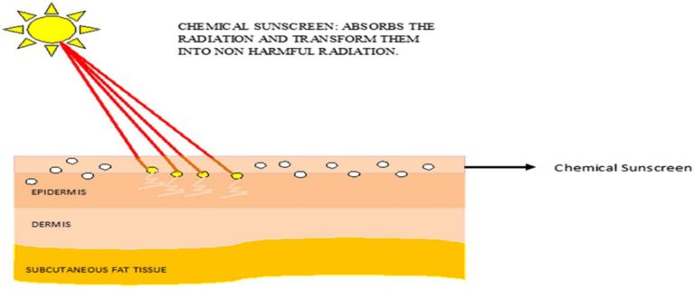 The Difference Between Mineral and Chemical Sunscreens: Which is Better?